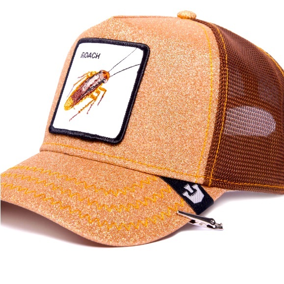 Goorin Bros | Accessories | Goorin Bros Roach Trucker | Poshmark